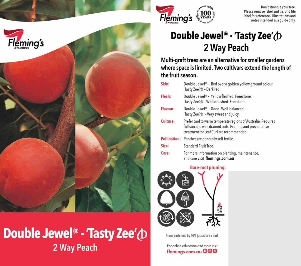 Peach Double Jewel - Dwarf Dawson's Garden World