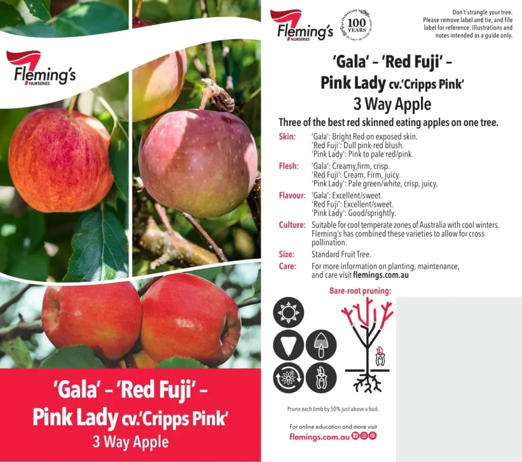 Apple Gala/Pink Lady/Red Fuji - Multi Graft Dawson's Garden World